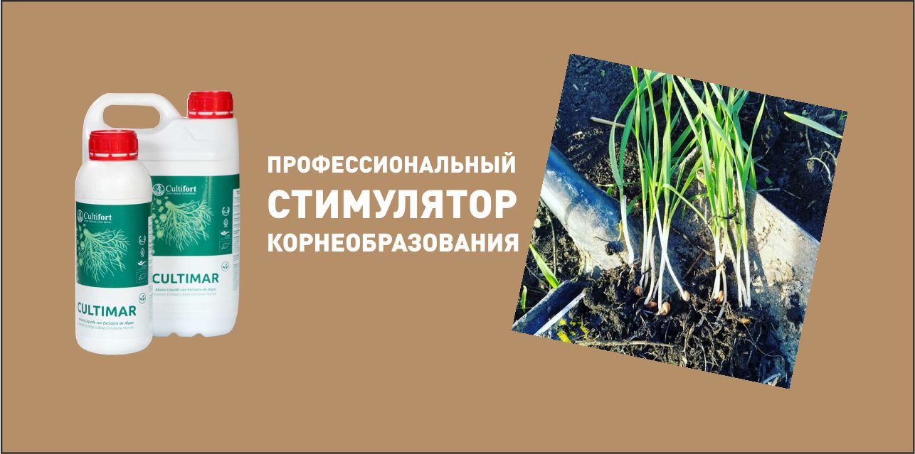 Азурнива